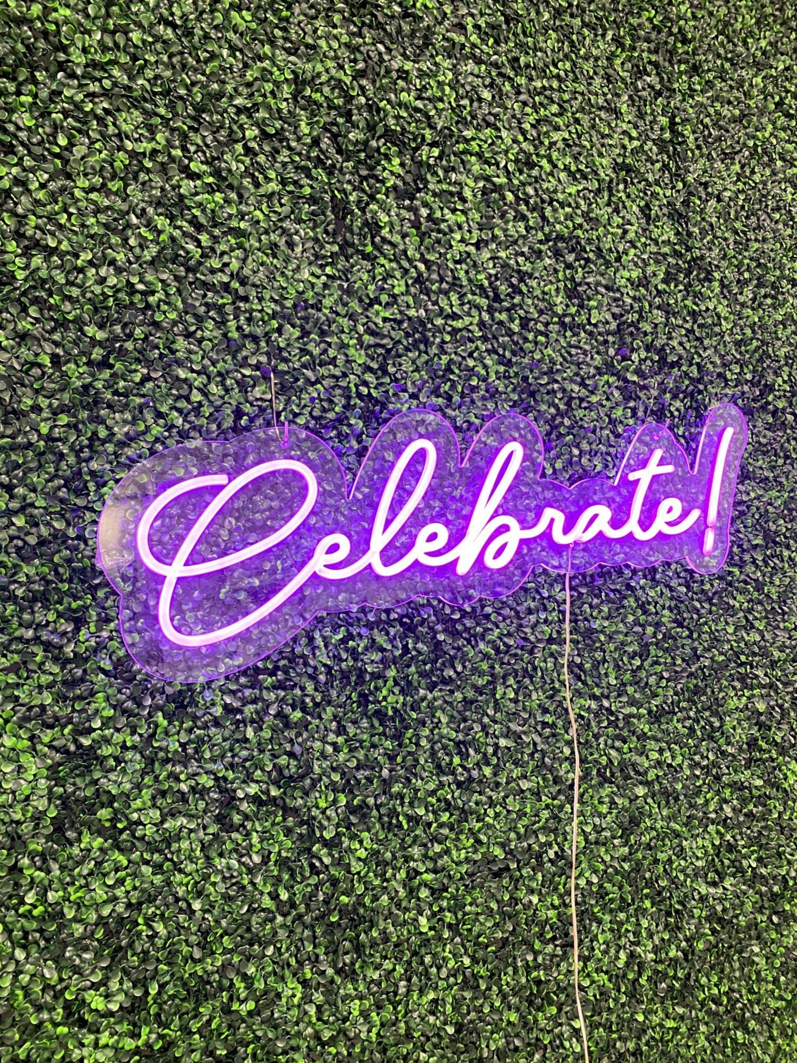 Celebrate Acrylic Neon Sign | Wedding Neon Sign | Party Neon Sign | Bar ...