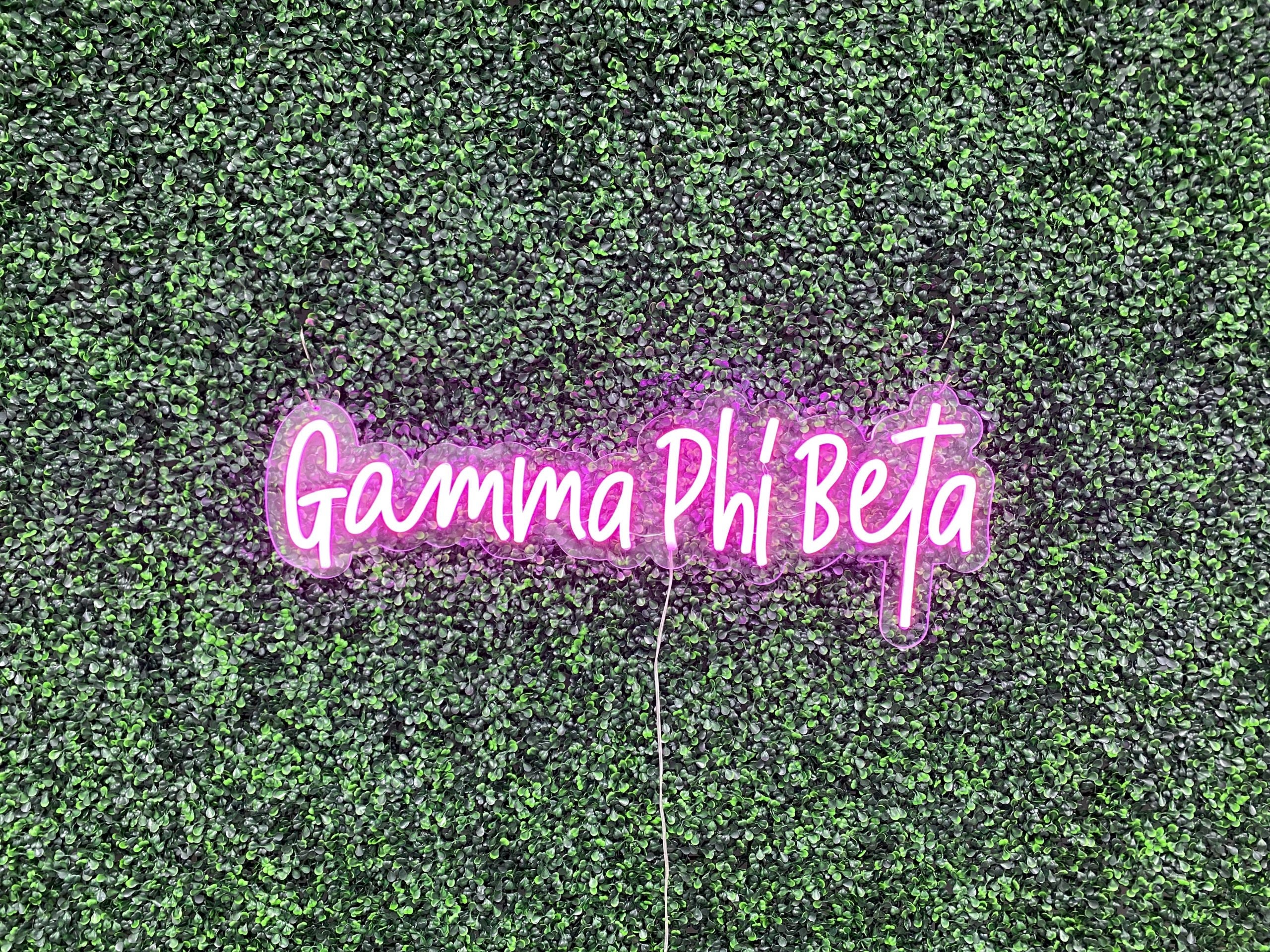 Sorority or Fraternity Custom Acrylic Neon Sign Greek Letters Sign Dorm ...