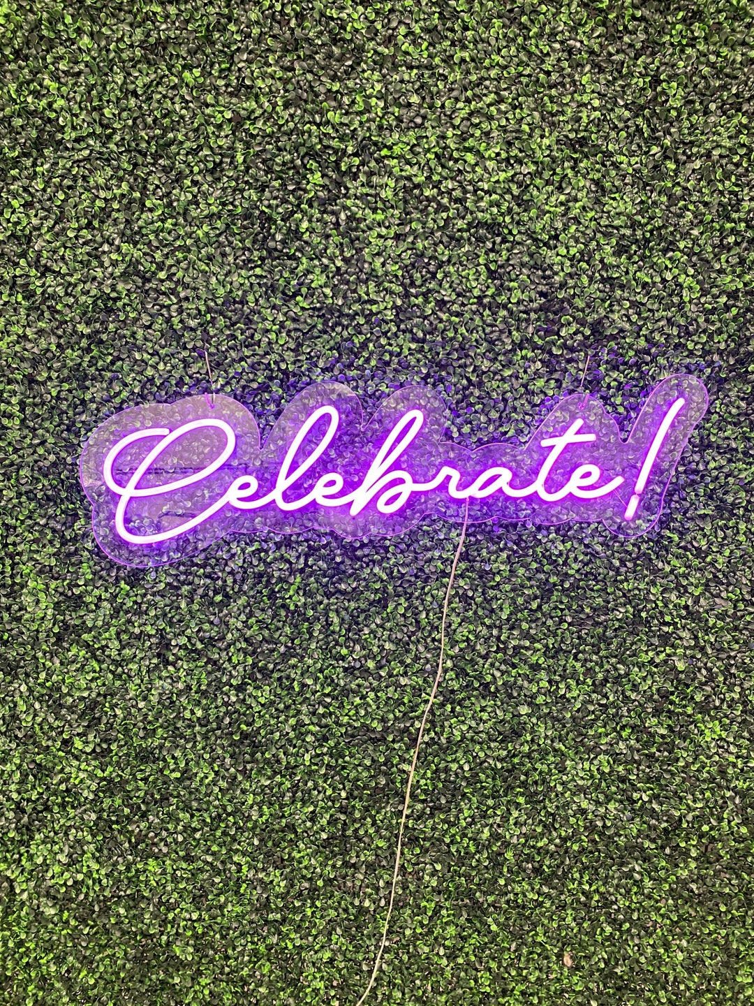 Celebrate Acrylic Neon Sign | Wedding Neon Sign | Party Neon Sign | Bar ...
