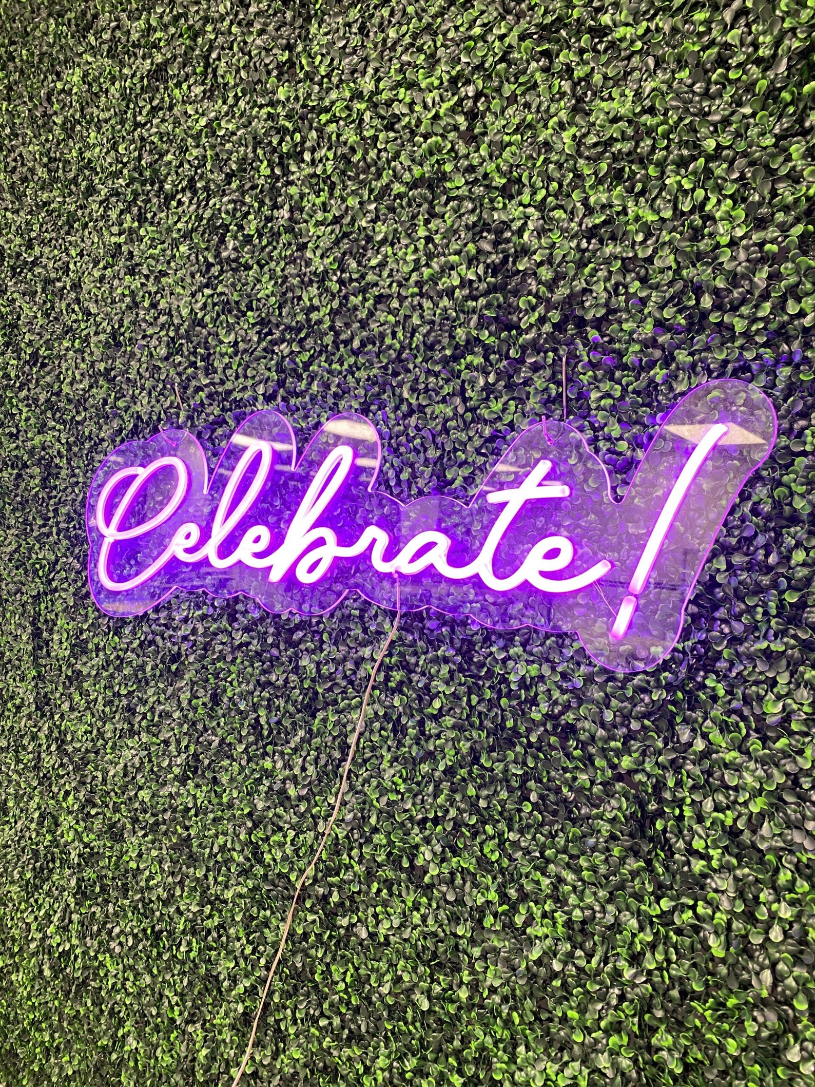 Celebrate Acrylic Neon Sign | Wedding Neon Sign | Party Neon Sign | Bar ...