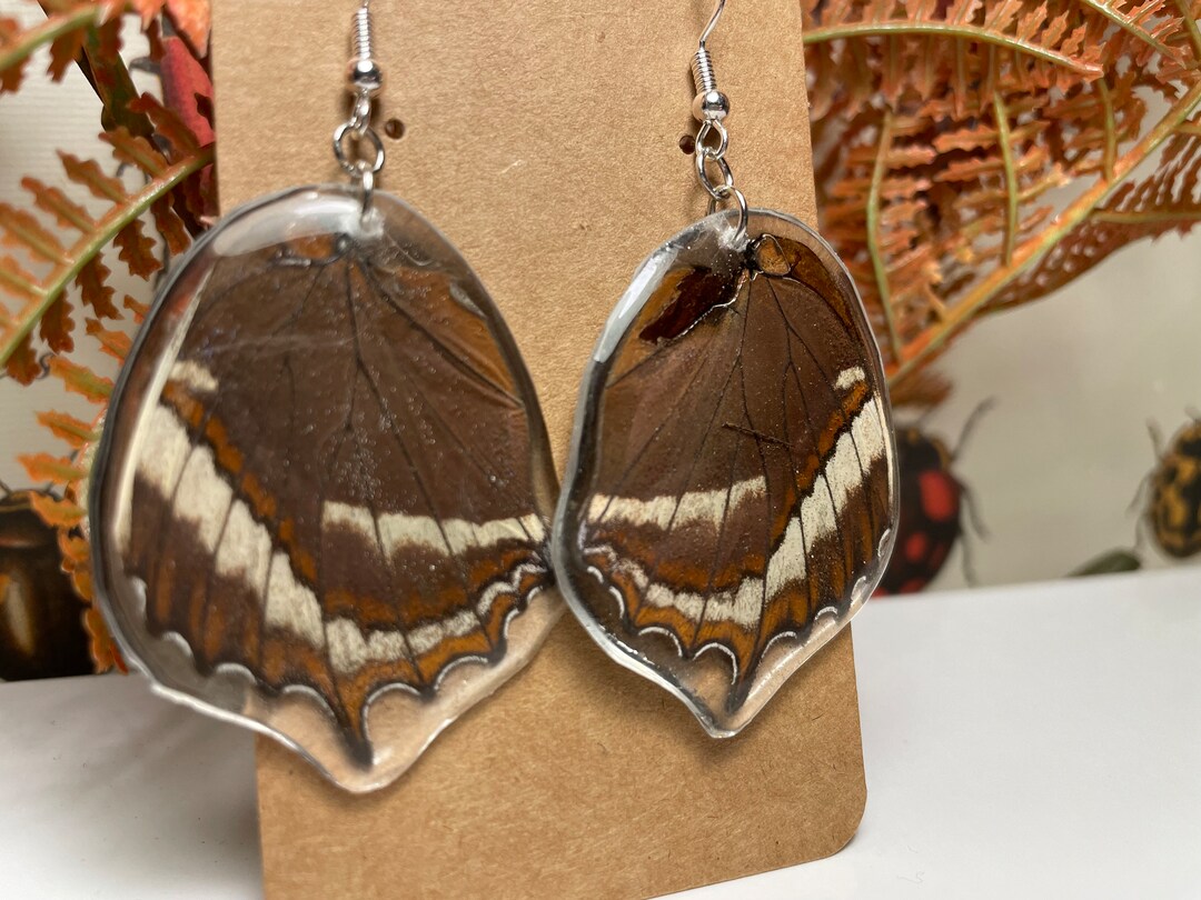 Resin-encased Real Butterfly Wing Earrings - Etsy
