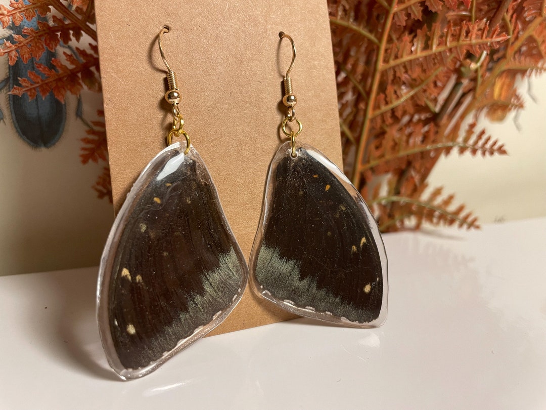 Resin-encased Real Butterfly Wing Earrings - Etsy