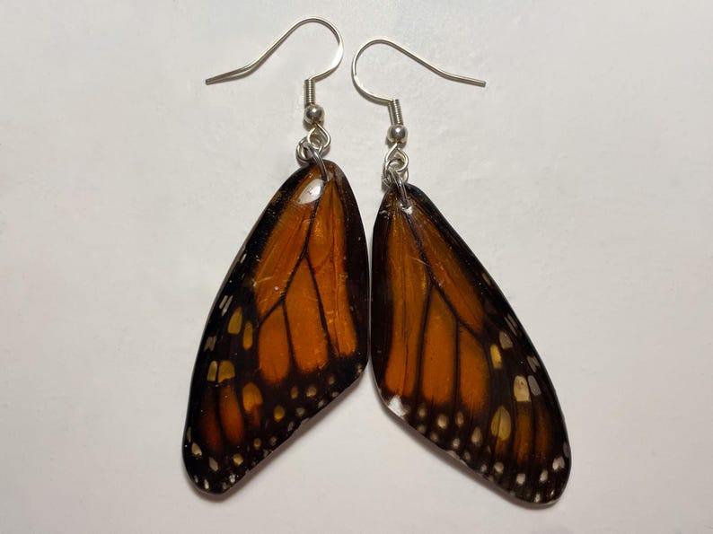 Resin-coated Real Monarch Butterfly Wing Earrings - Etsy