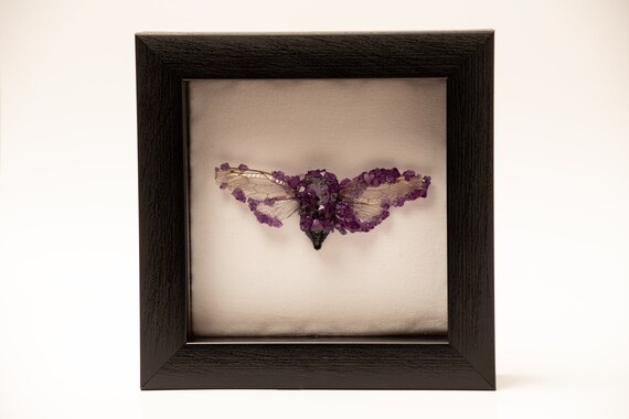 Sculpture Art & Collectibles REAL Mounted Crystallized Cicada etna.com.pe