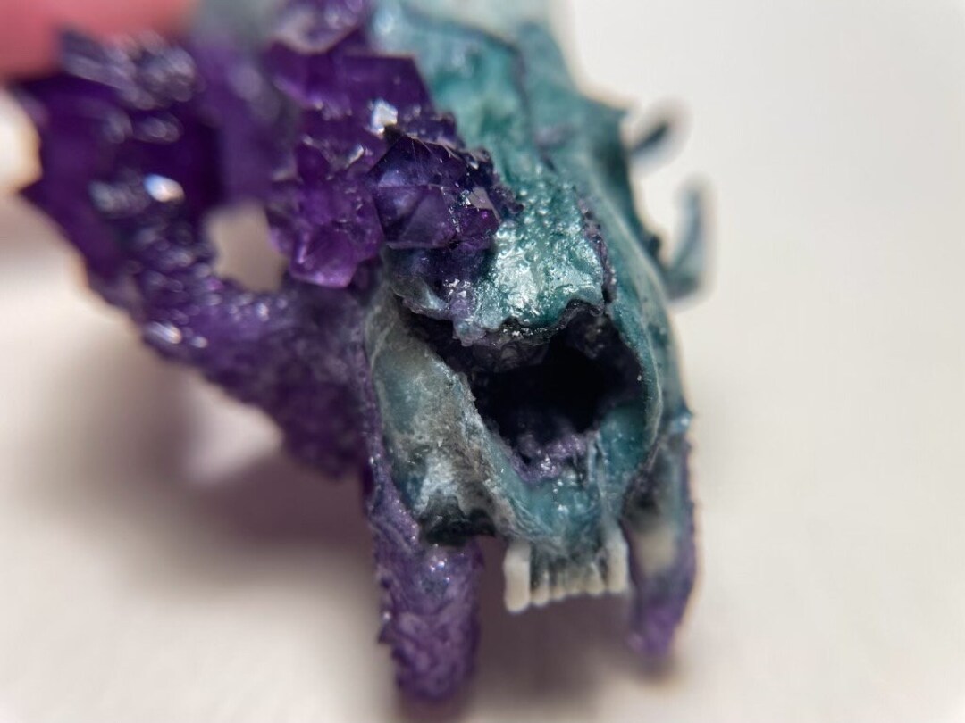 Real Chrome Alum Crystallized Mink Skull - Etsy