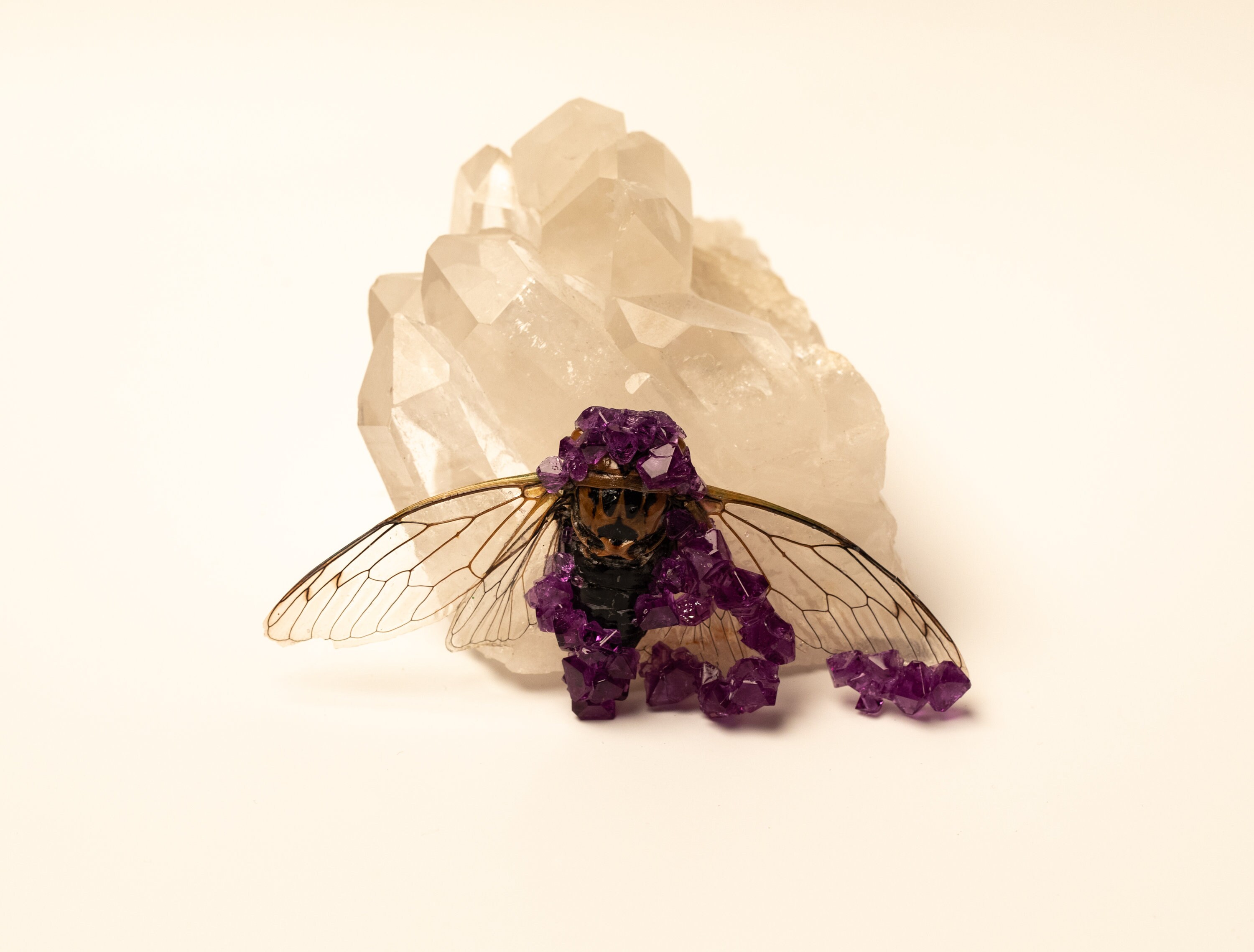 Sculpture Art & Collectibles REAL Mounted Crystallized Cicada etna.com.pe