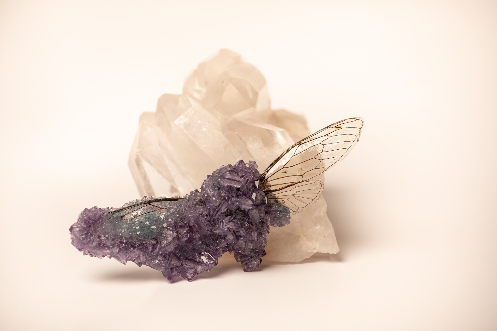 Sculpture Art & Collectibles REAL Mounted Crystallized Cicada etna.com.pe