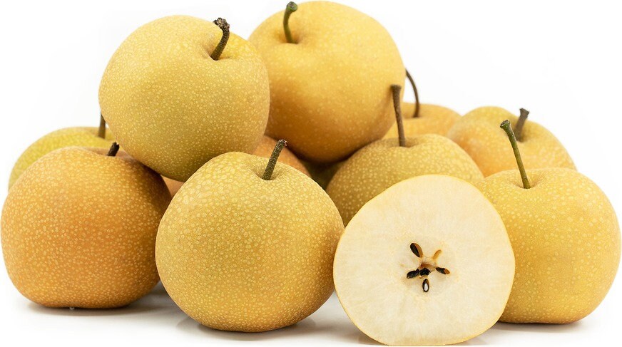 Asian Apple Pear Chinese Japanese Korean Golden Nashi Pear Seeds ...