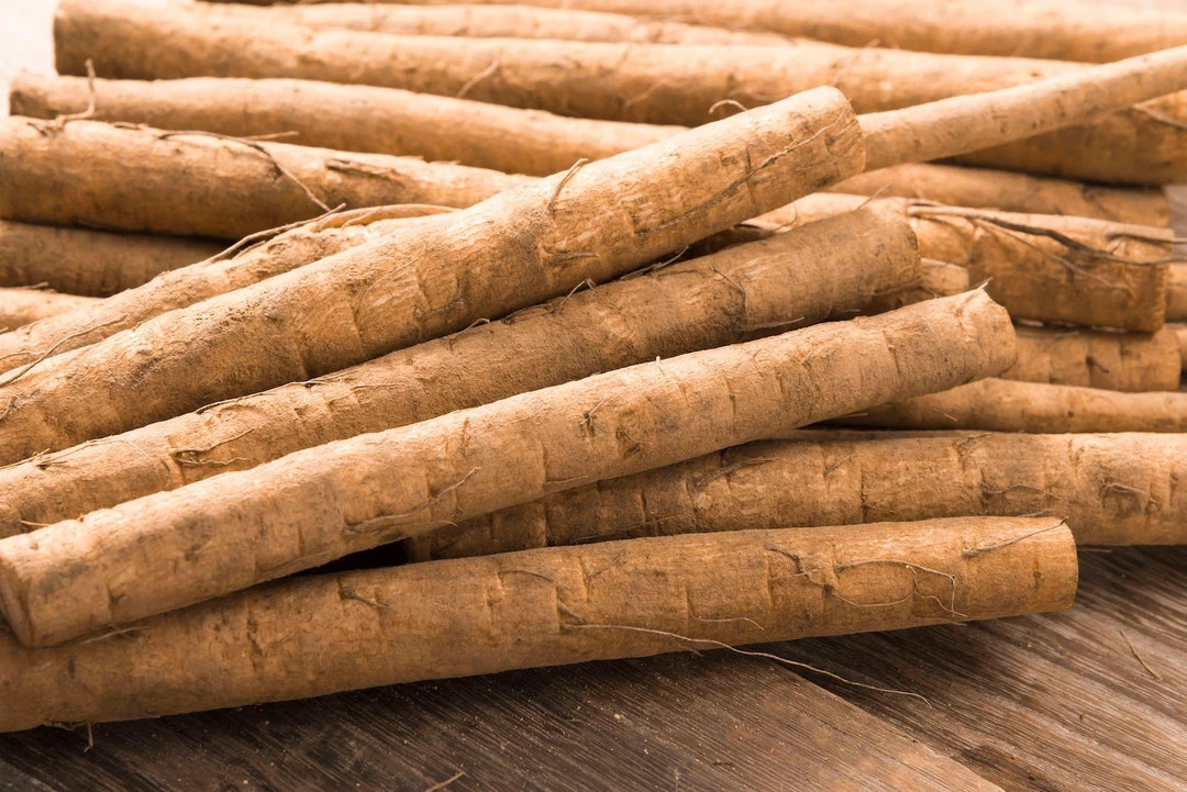 Fresh Burdock Root Gobo Edible Roots Non GMO New Crop - Etsy
