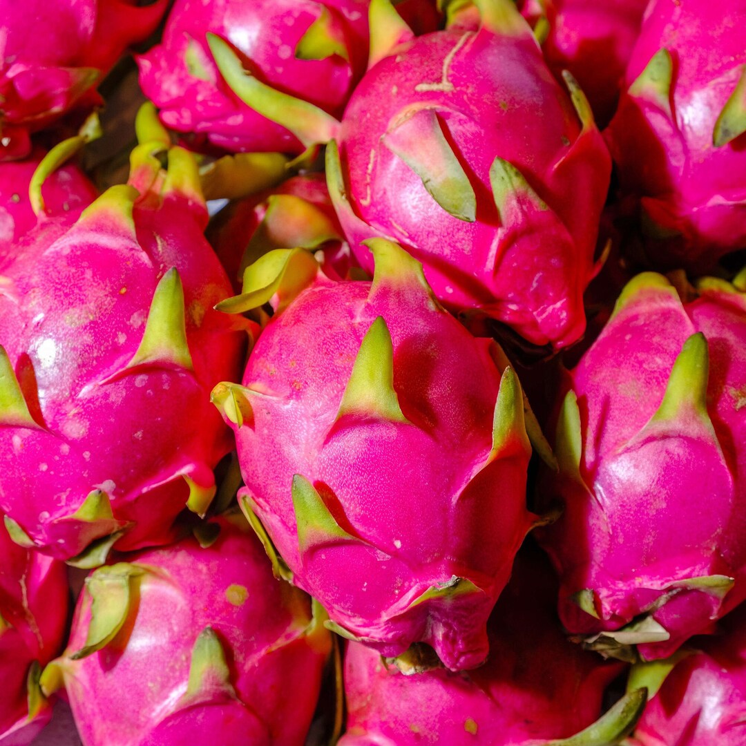 Fresh Dragon Fruit White Flesh Pitaya Fruits Tropical Exotic Non GMO - Etsy