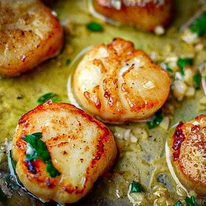 Colossal Organic Music Garlic Seed Garlic Bulbs Porcelain Italian Early ...