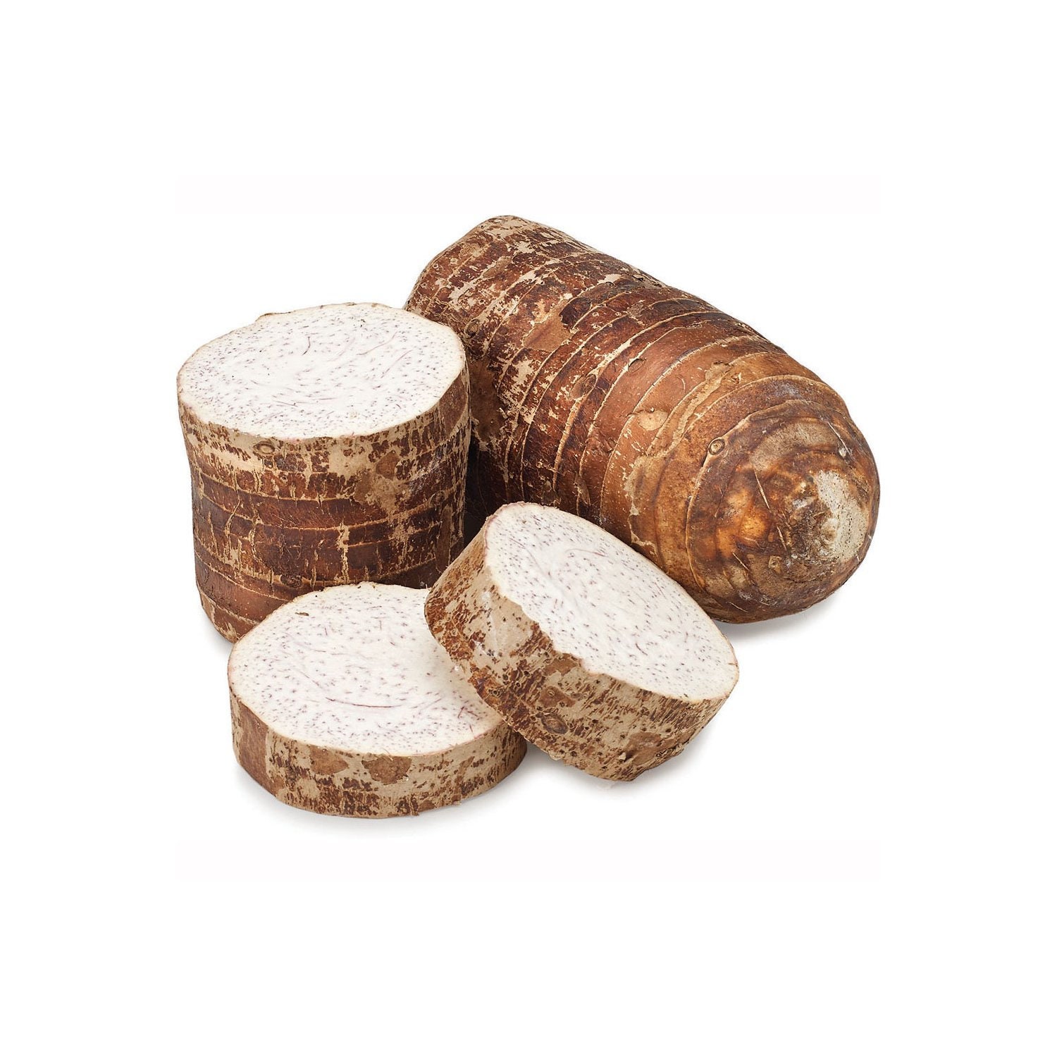 Edible Malanga Coco Yam Yautia Big Taro Root for Planting or Eating ...