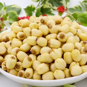 Dried White Organic Lotus Seeds Edible 100% Natural Seed Non GMO - Etsy