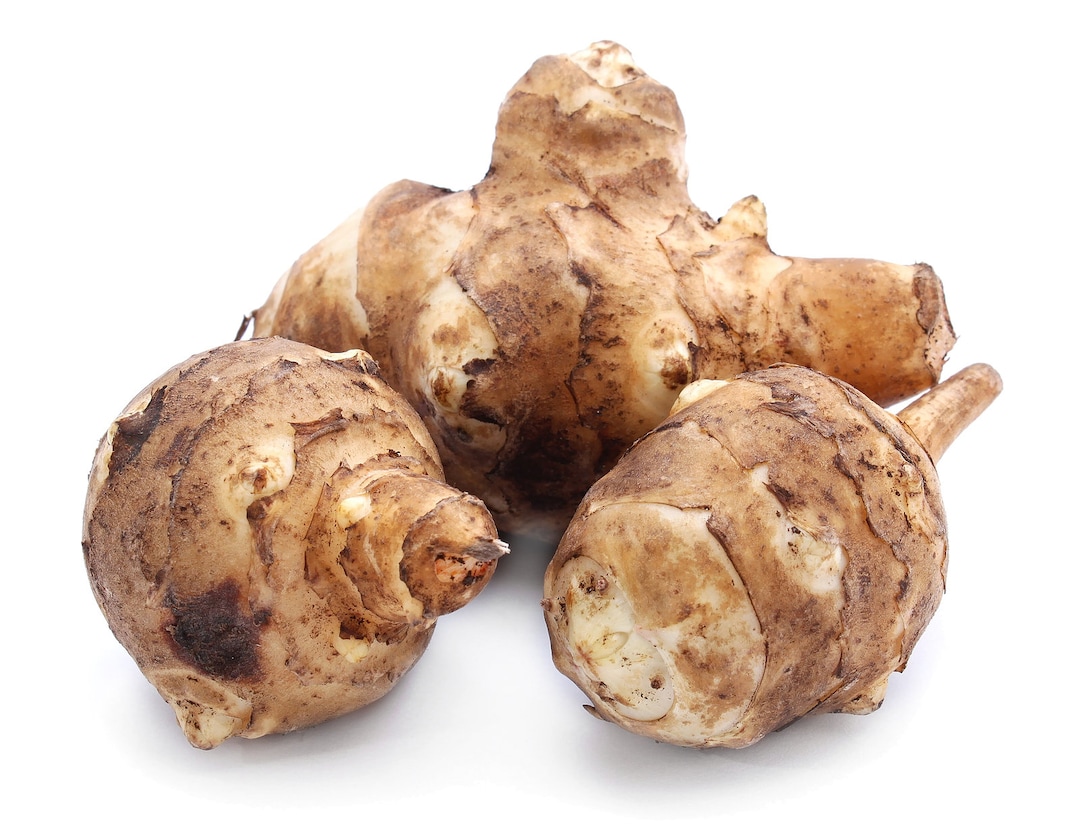 White Fuseau Seed Jerusalem Artichokes Sunchokes Tubers for Planting ...