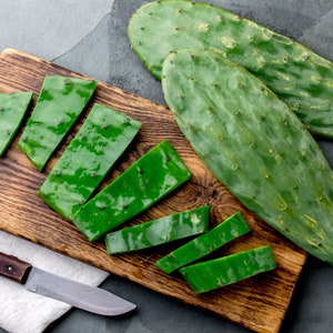 Fresh Spineless Thornless Edible Nopales Cactus Pear Pad Prickly Pears ...