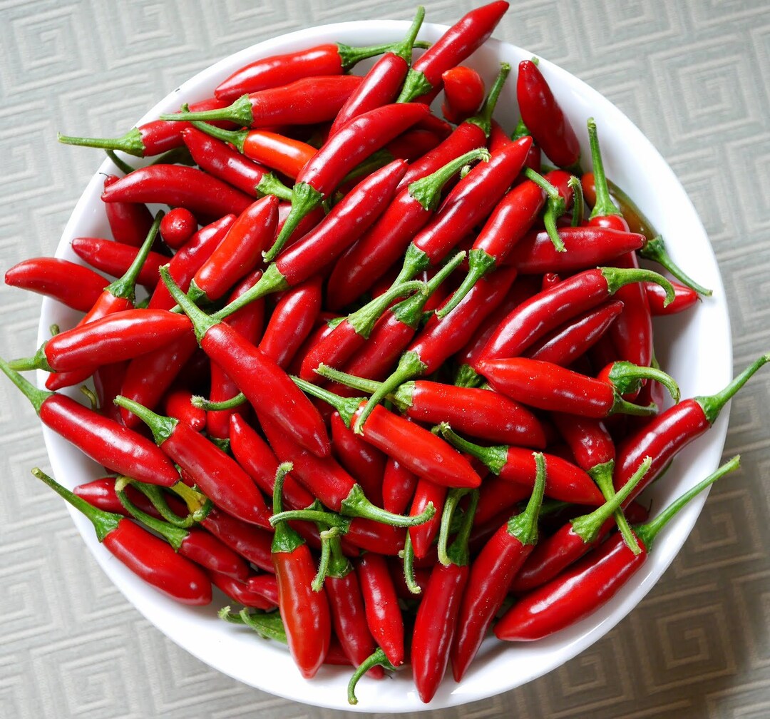 Serrano Pepper Seeds Hot Pepper Chili Heirloom Seed New Crop 2024 - Etsy