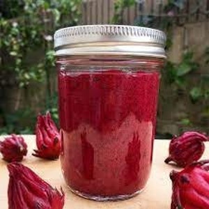 Red Hibiscus Roselle Asian Sour Leaf Seeds Non GMO Heirloom Herb Tea ...