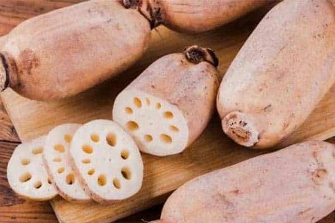 Fresh Lotus Root Edible Roots Non GMO New Crop 2023 - Etsy