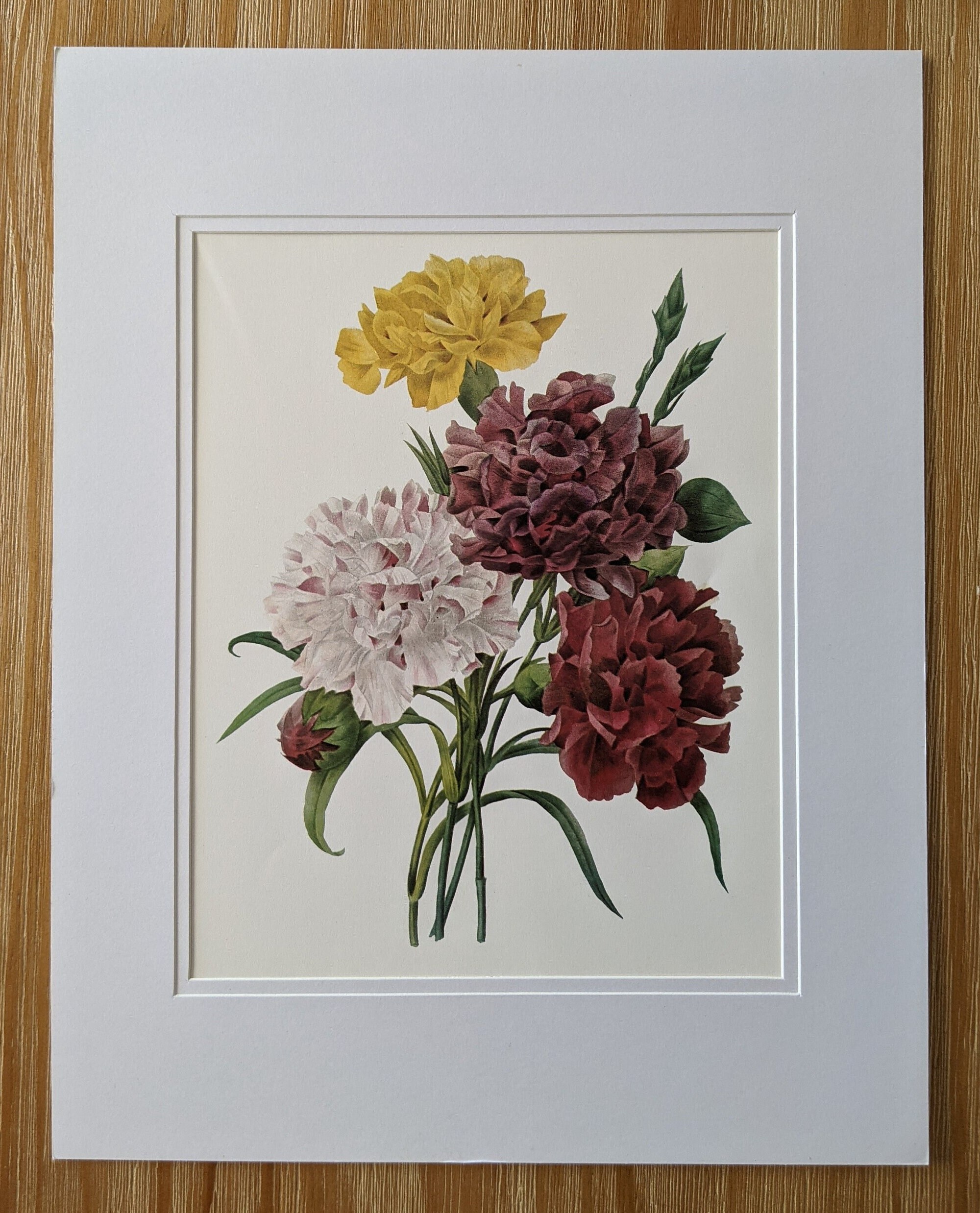 Prints 1970s Flower Print Botanical Illustration Lithograph Plate 63 ...