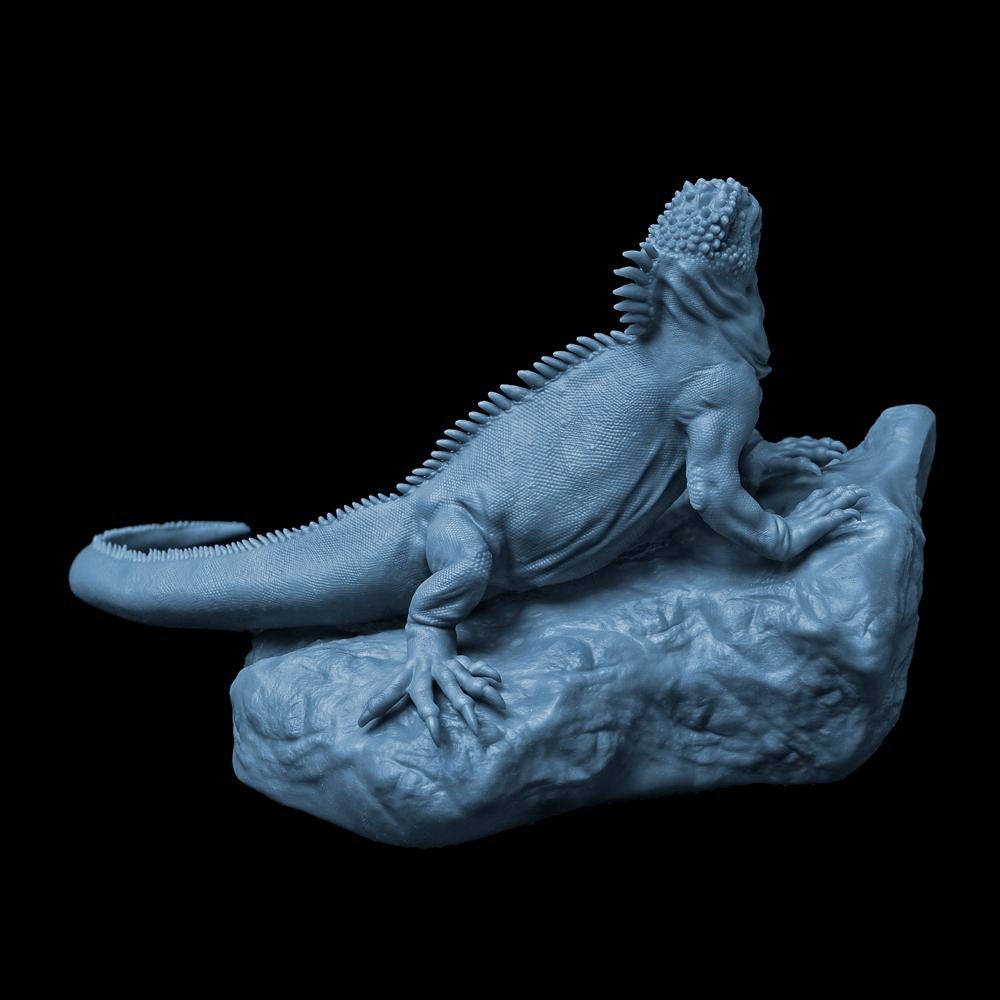 Lguana Miniatures - Etsy