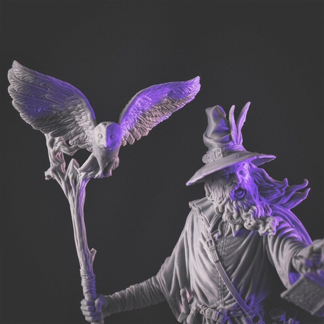 Grey Beard Mage and Owl | Wizard | 3D Printed 8K | 32mm/75mm/120mm | D ...