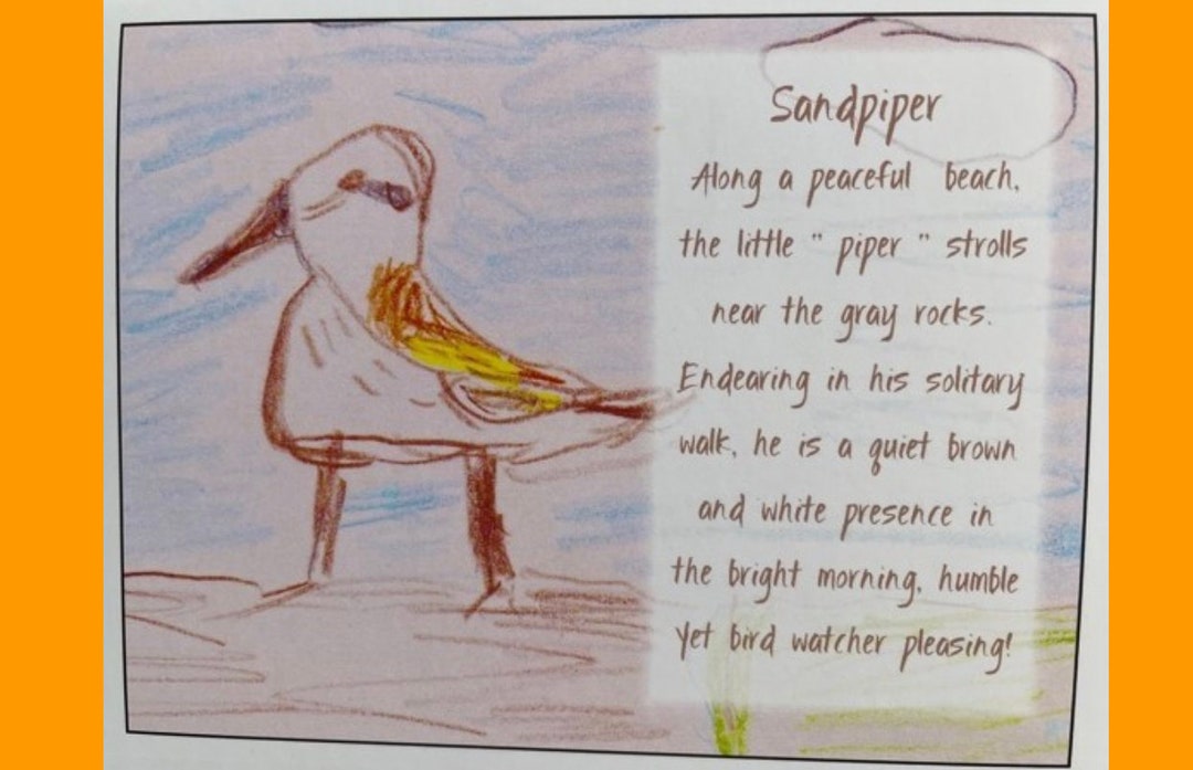 Sandpiper - Poetry on the Wing - Etsy