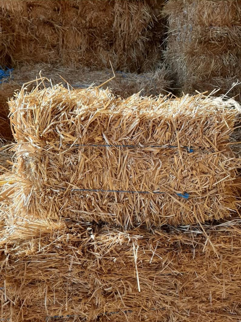 Double F Farms Premium 100% Natural Straw for Animal Bedding, Garden ...