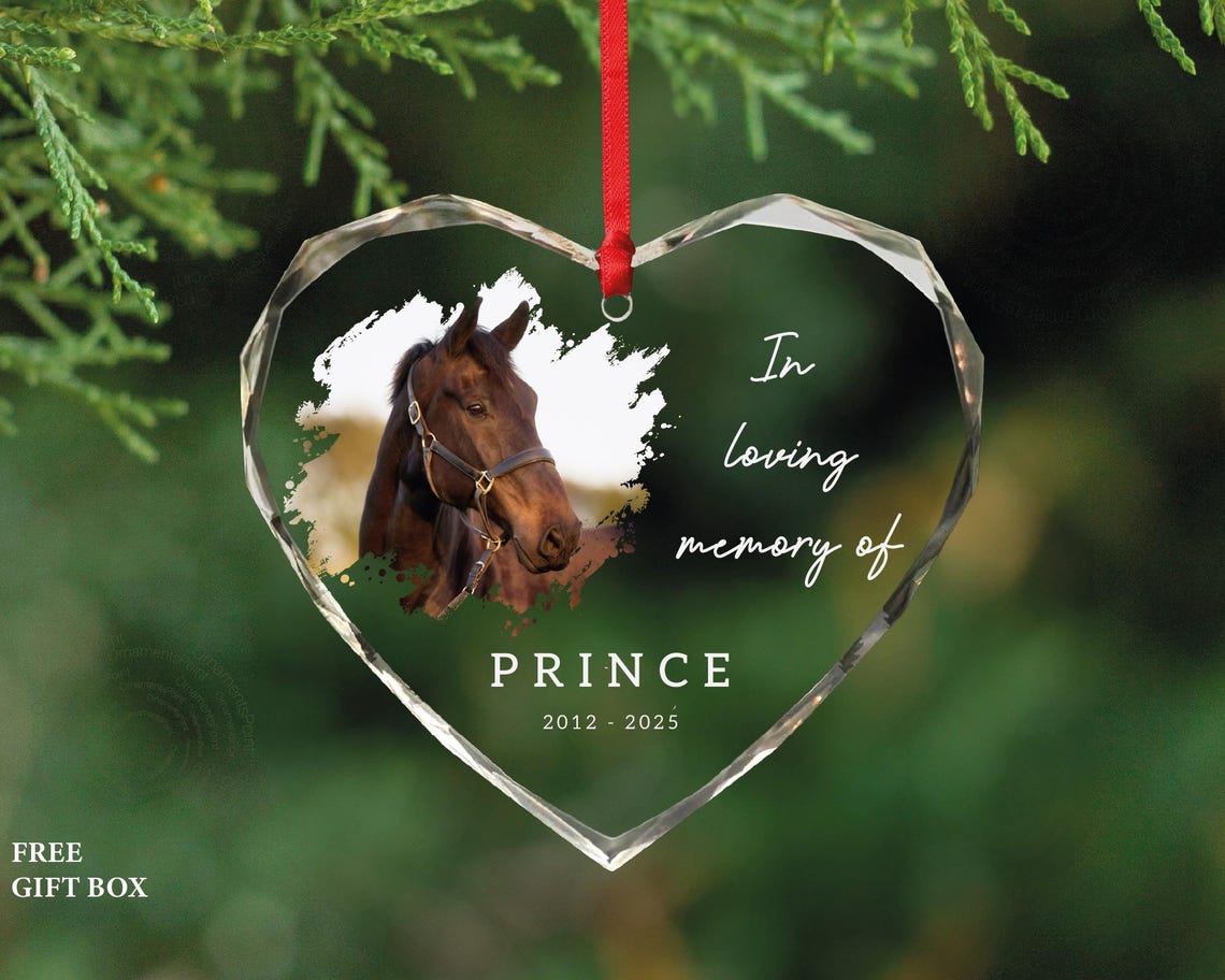 Personalized Horse Photo Memorial Glass Heart Ornament, in Loving ...
