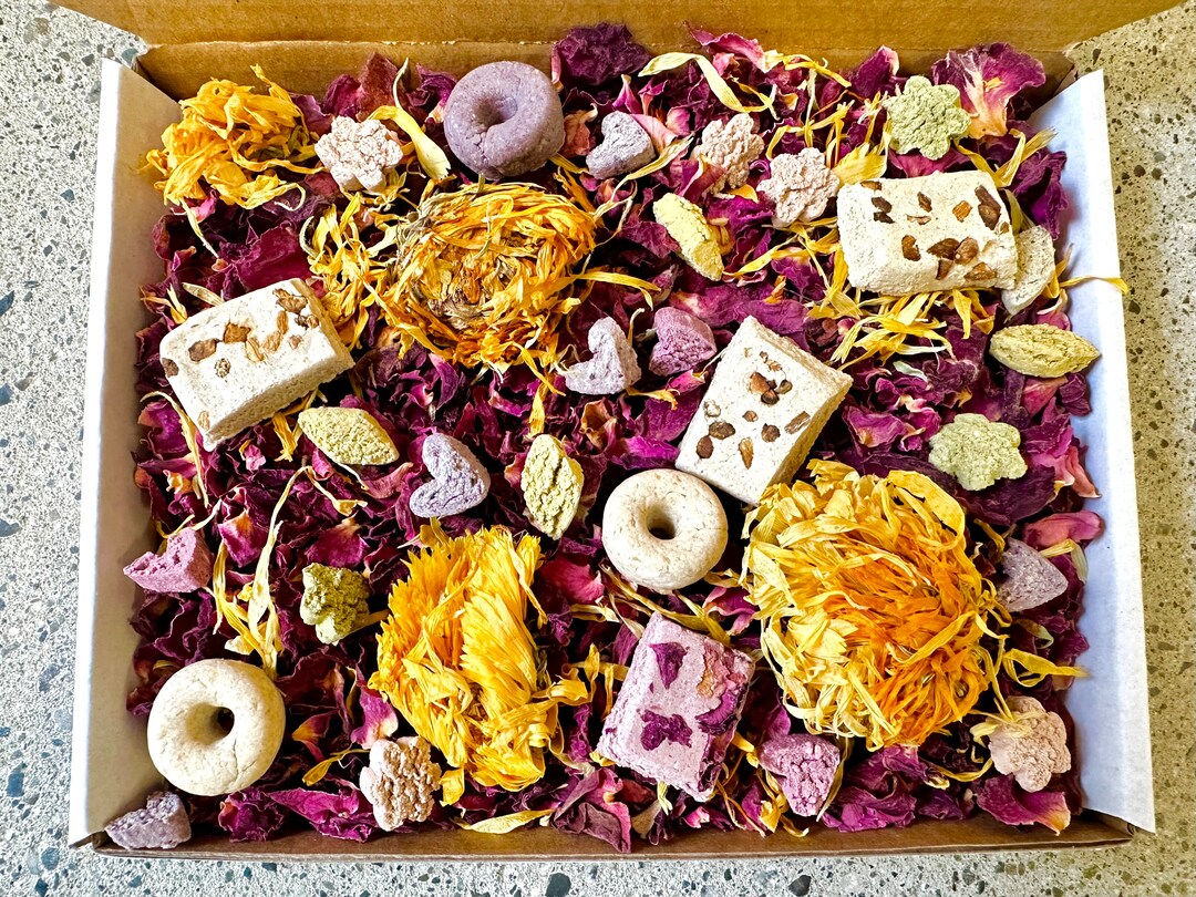 Blooming Florals Foraging Box | Perfect Gift for Bunny Rabbit, Hamster ...