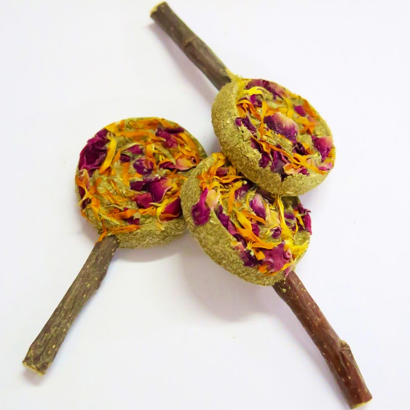 Ice Braid in the Woodlands Texas Today - Etsy Canada