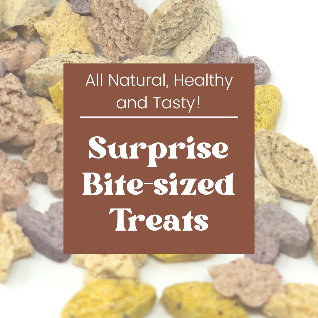 Surprise Treat | All-natural Bite-sized Small Animal Treats | Made for ...