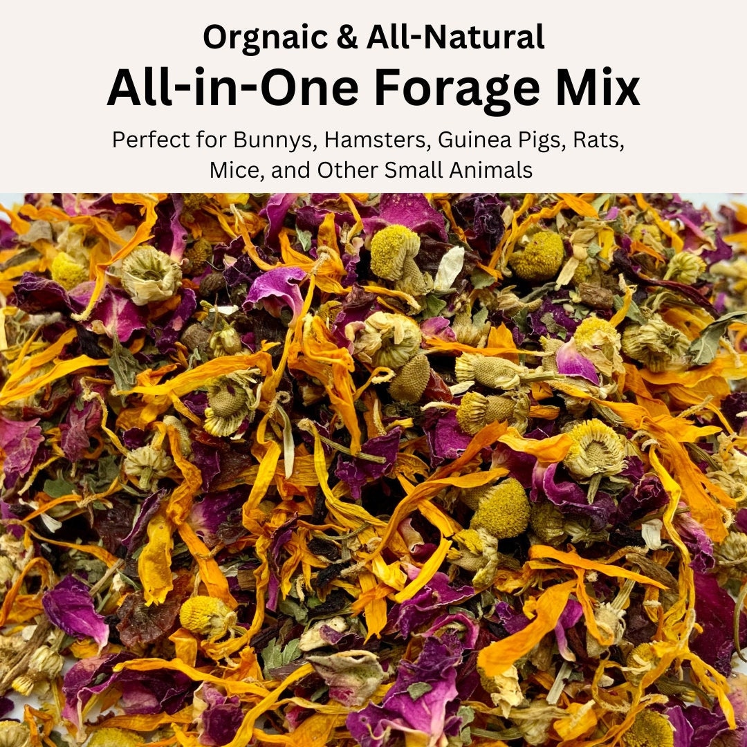 All-in-one Organic Forage Mix Oat-free Small Animal Treat Natural ...