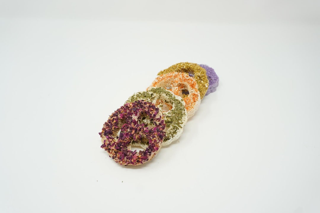 Flavoured Loofah Variety Pack (5pcs) - All-natural Chew Toys | for ...