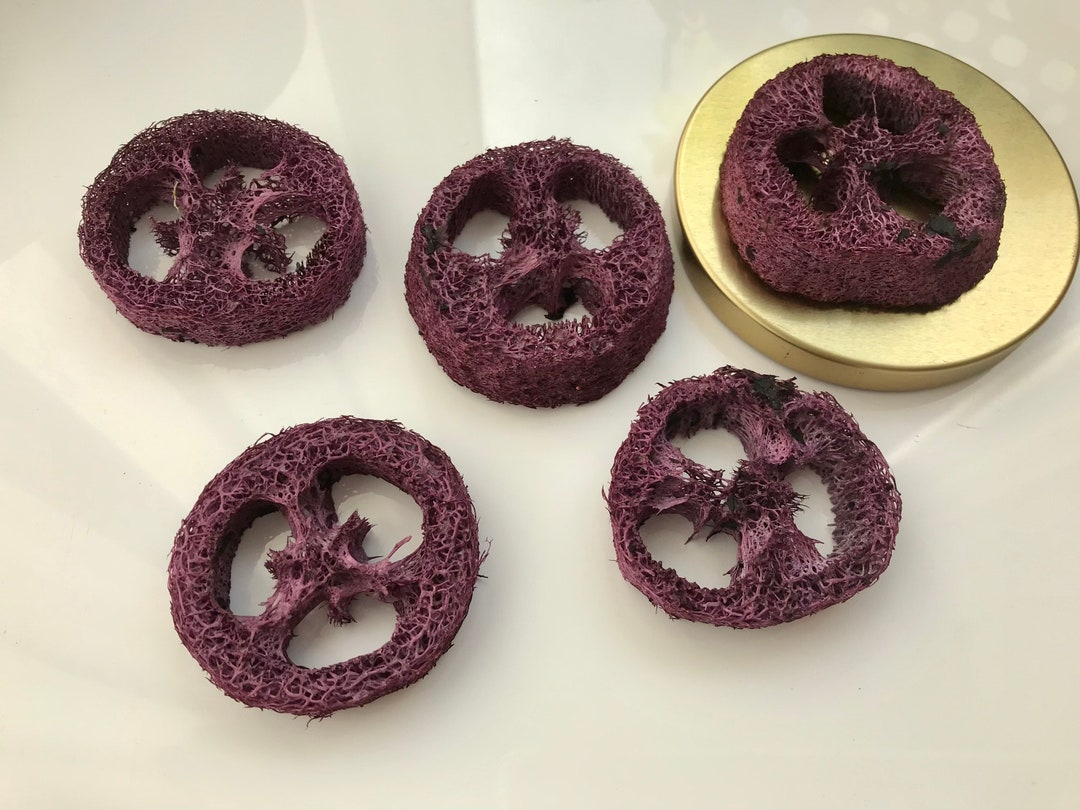 Mixed Berry Flavoured Loofah Healthy Distraction Chew Toy Etsy mixed-berry-flavoured-loofah-healthy-distraction-chew-toy-etsy