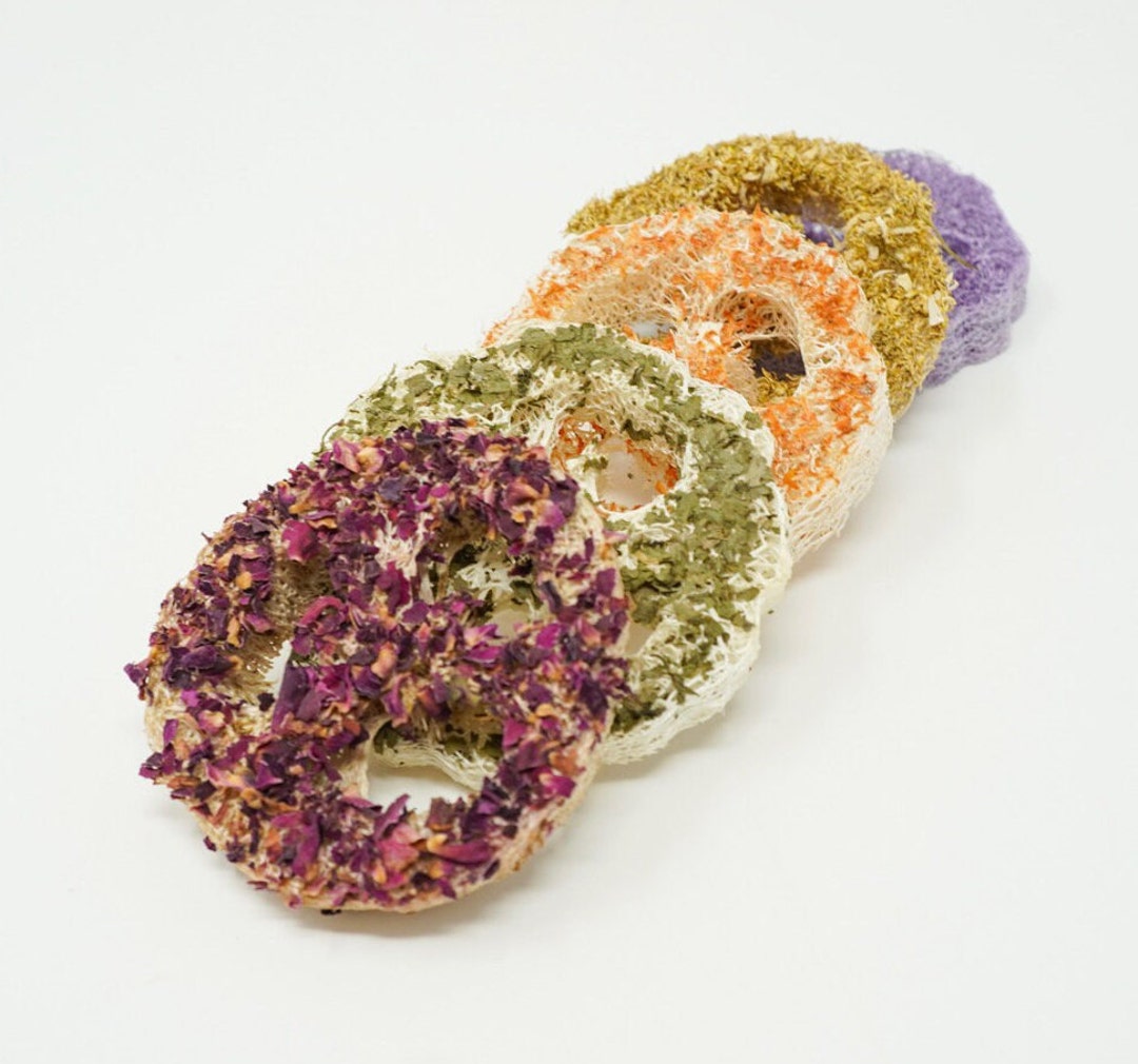 5pcs Infused Loofah Chew Pack Healthy Oat-free Chew Toys for Rabbits ...