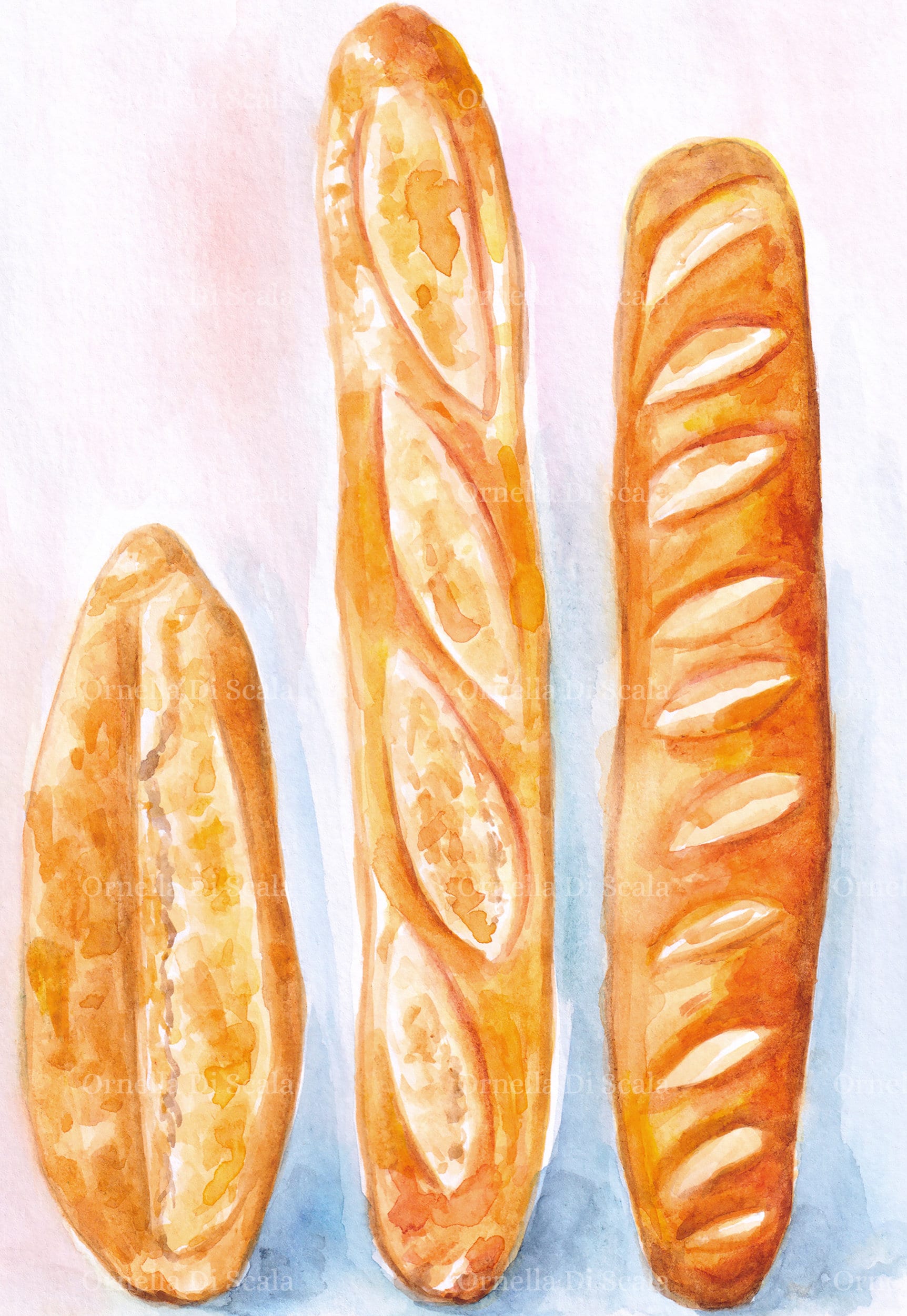 French Bread Drawing
