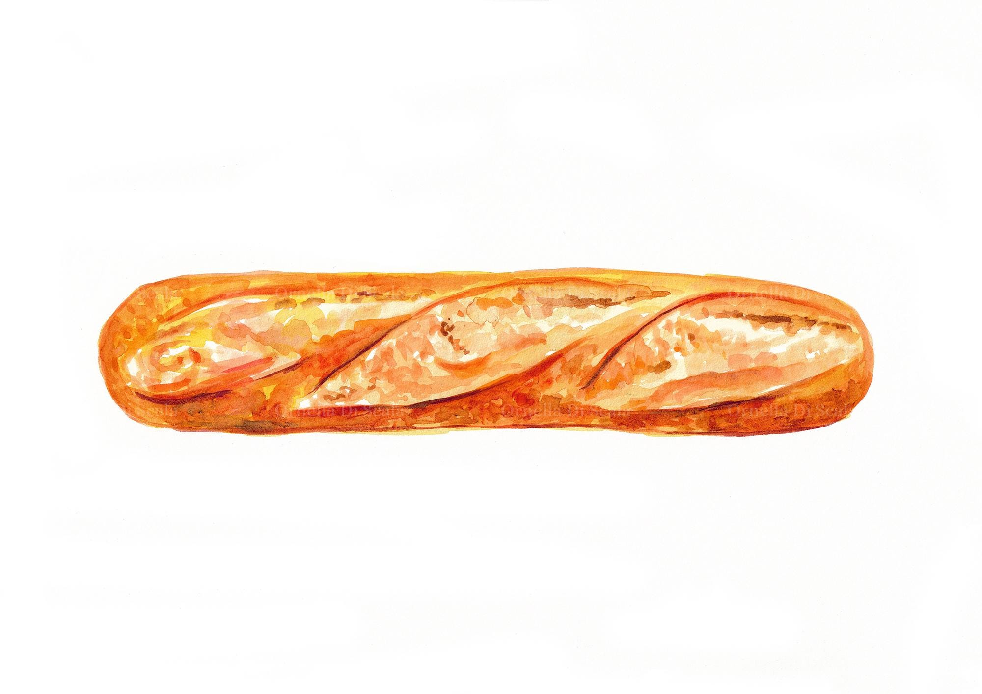 French Bread Baguette Watercolor Painting Instant Download Printable ...