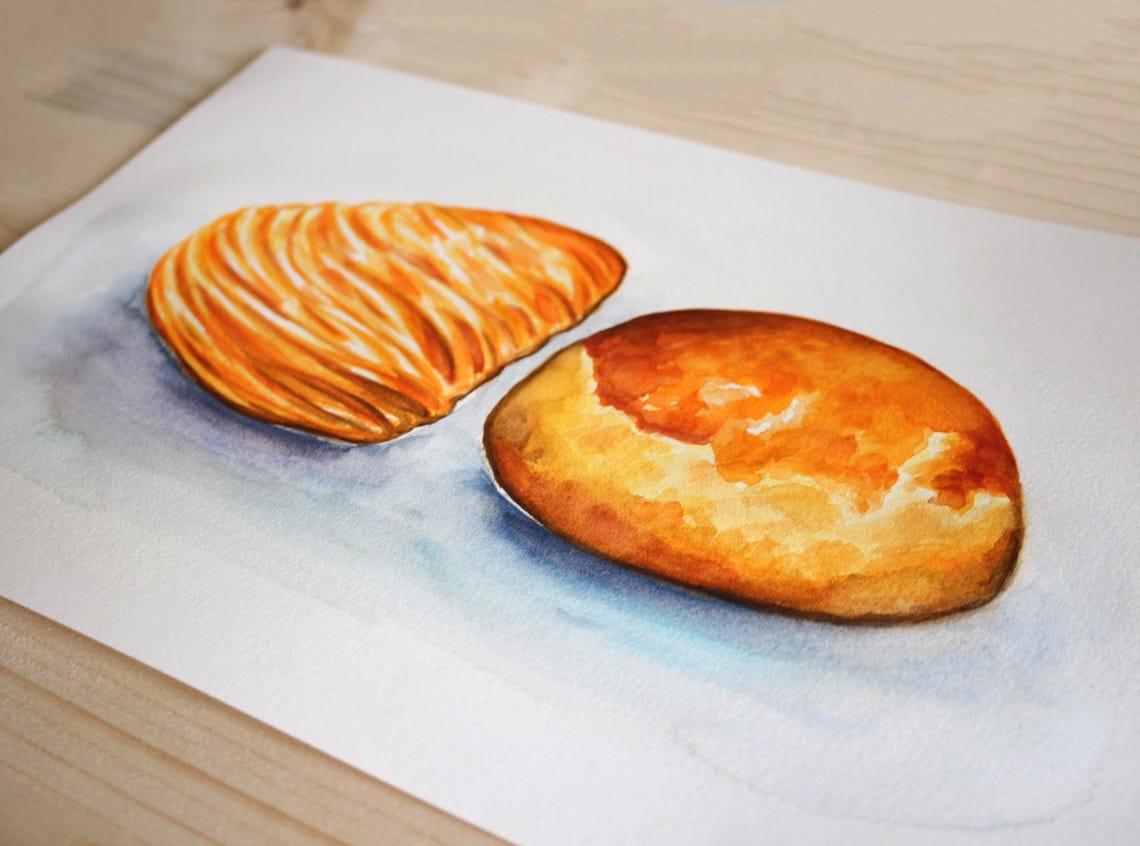 Neapolitan Sfogliatella, Shortcrust Pastry and Curly Watercolor ...