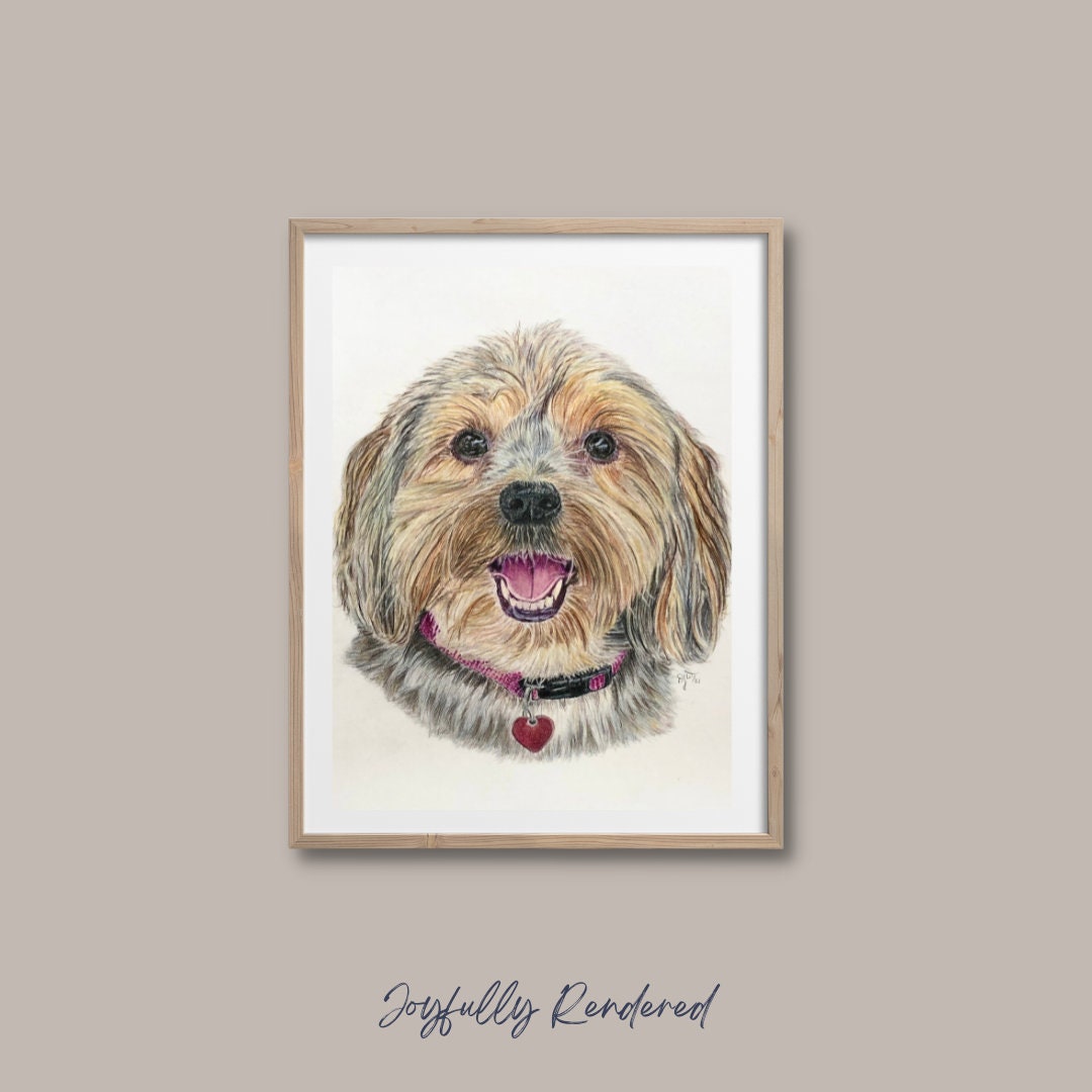 Custom Pencil Pet Portraits - Animal, Commission, Art, Dog, Cat, Horse ...