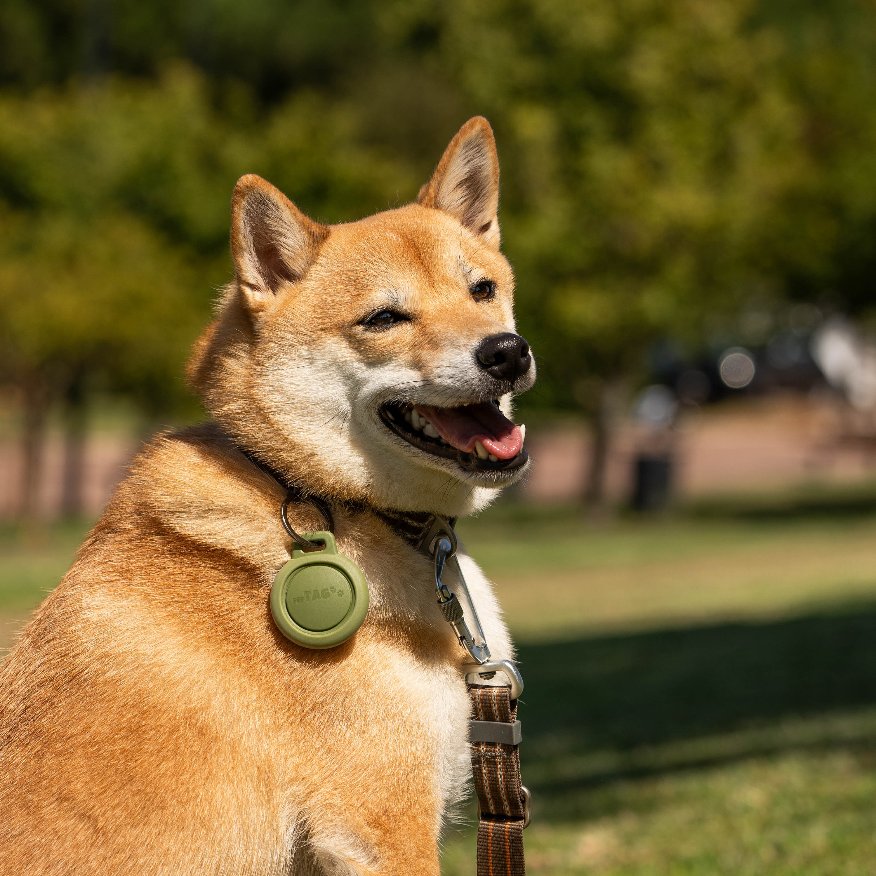 AirTag Dog Collar Air Tag Holder Pet Case Waterproof Tracker Small GPS ...