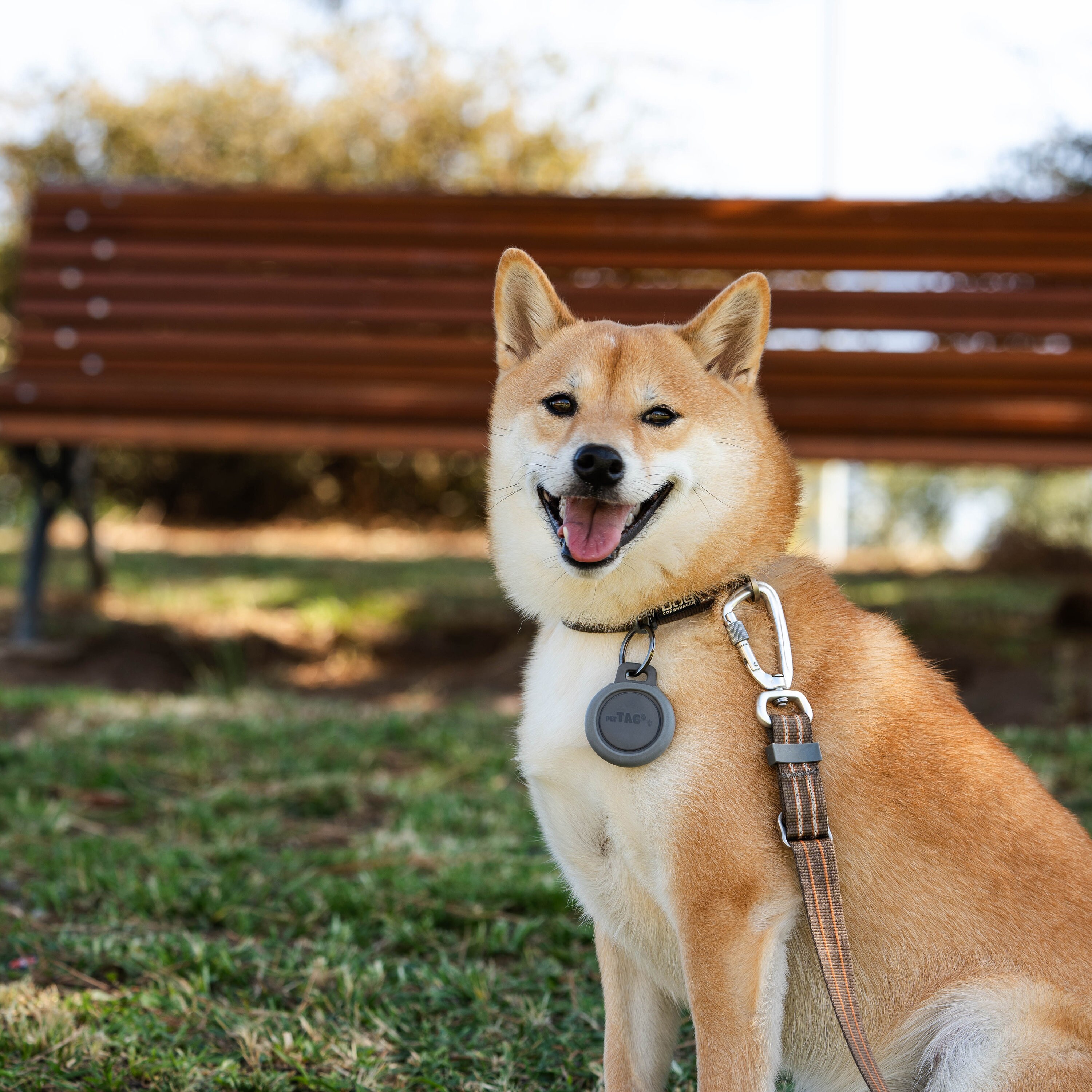 AirTag Dog Collar Air Tag Holder Pet Case Waterproof Tracker Small GPS ...