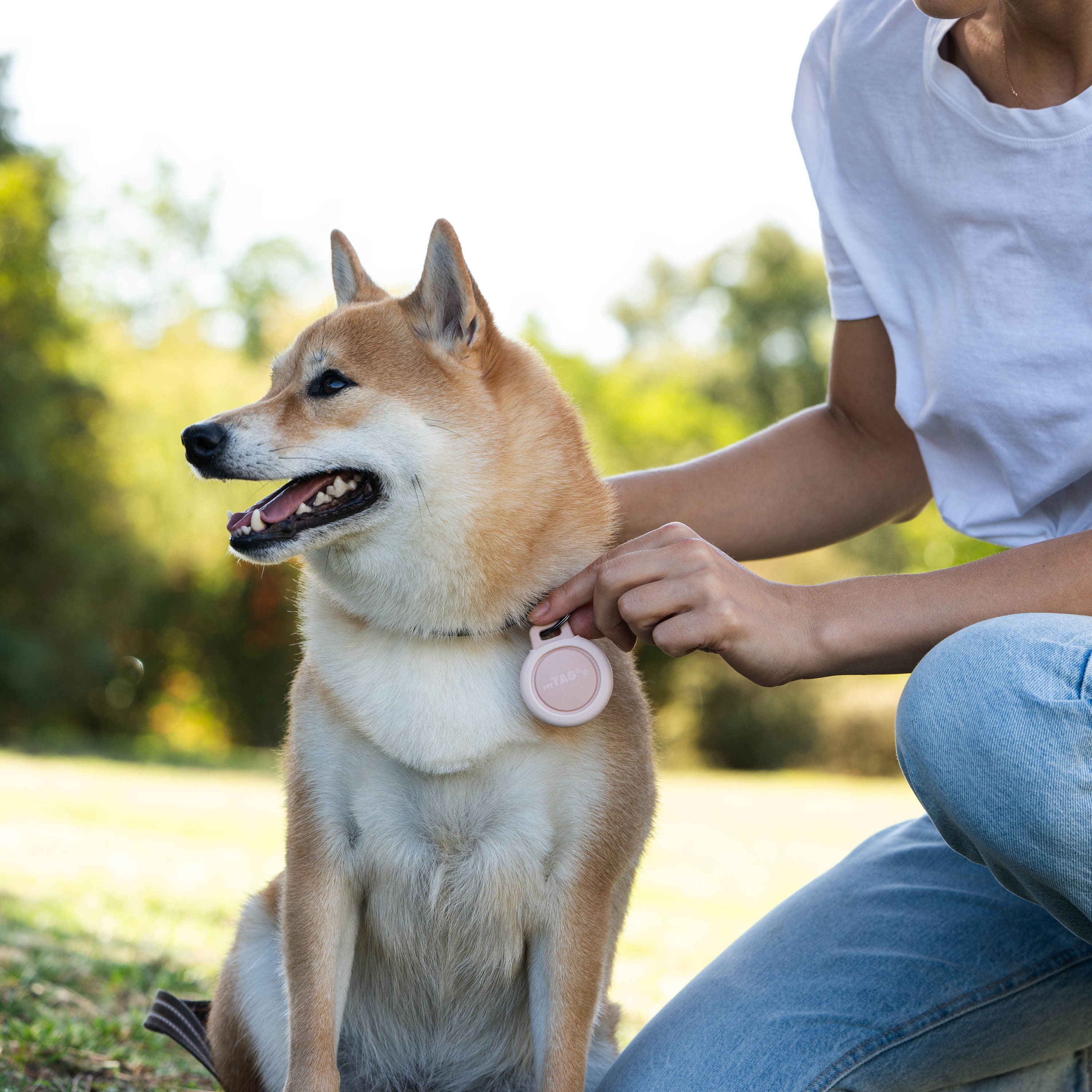 AirTag Dog Collar Air Tag Holder Pet Case Waterproof Tracker Small GPS ...