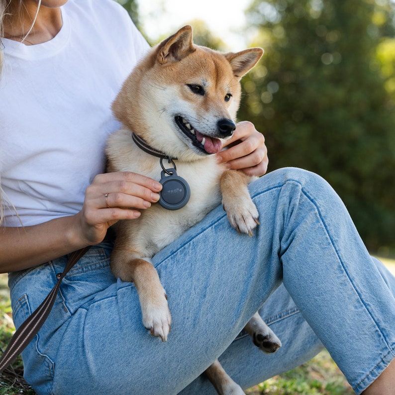 AirTag Dog Collar Air Tag Holder Pet Case Waterproof Tracker Small GPS ...