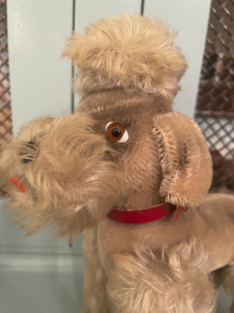 Vintage STEIFF German Snobby Poodle Jointed Vintage Mohair Toy ...