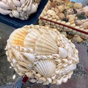 Vintage Sea Shell Trinket Box Jewelery Box Coastal Design, Decor ...