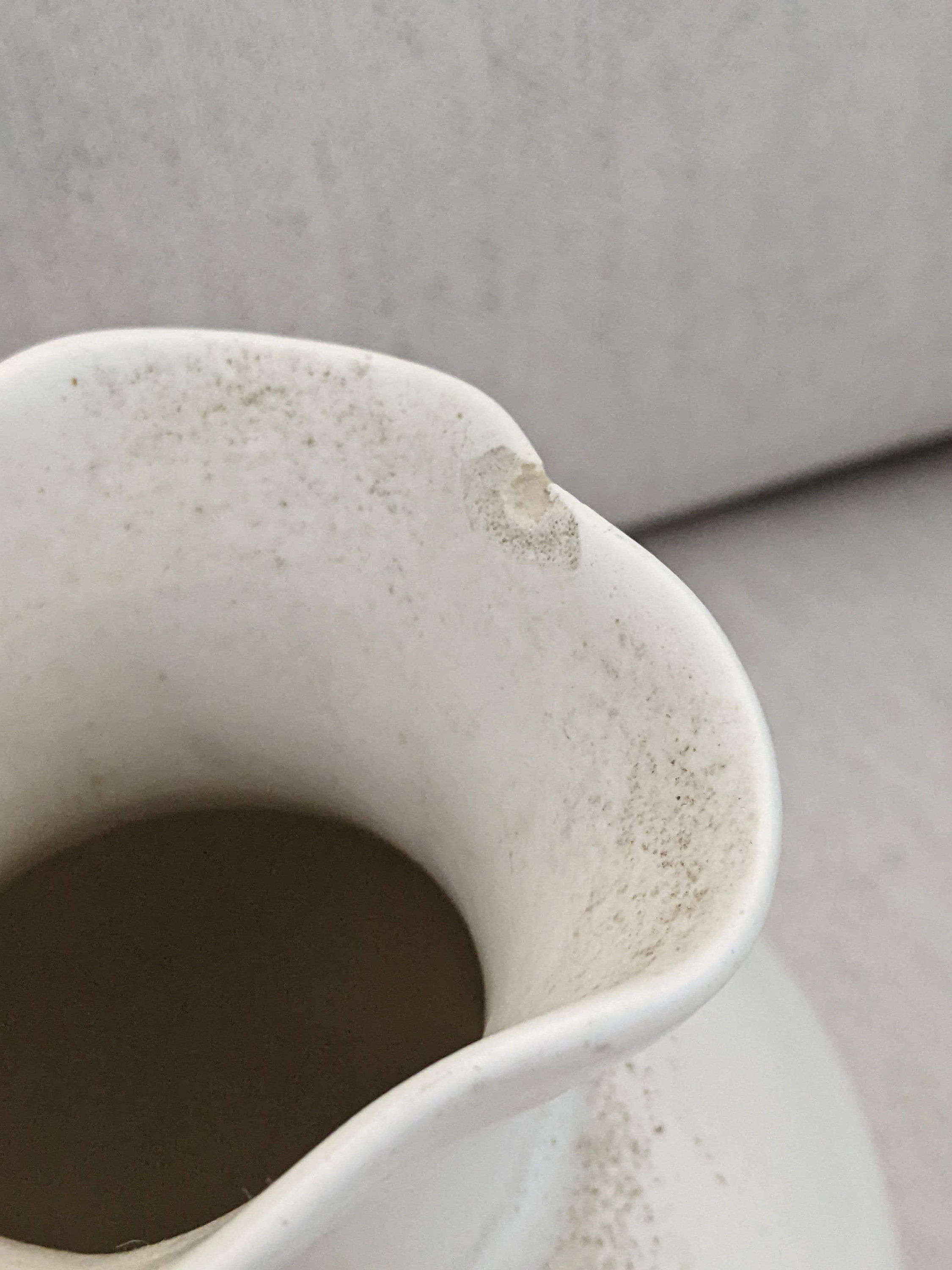 Red Wing Pottery Ivory Magnolia Vase - Etsy