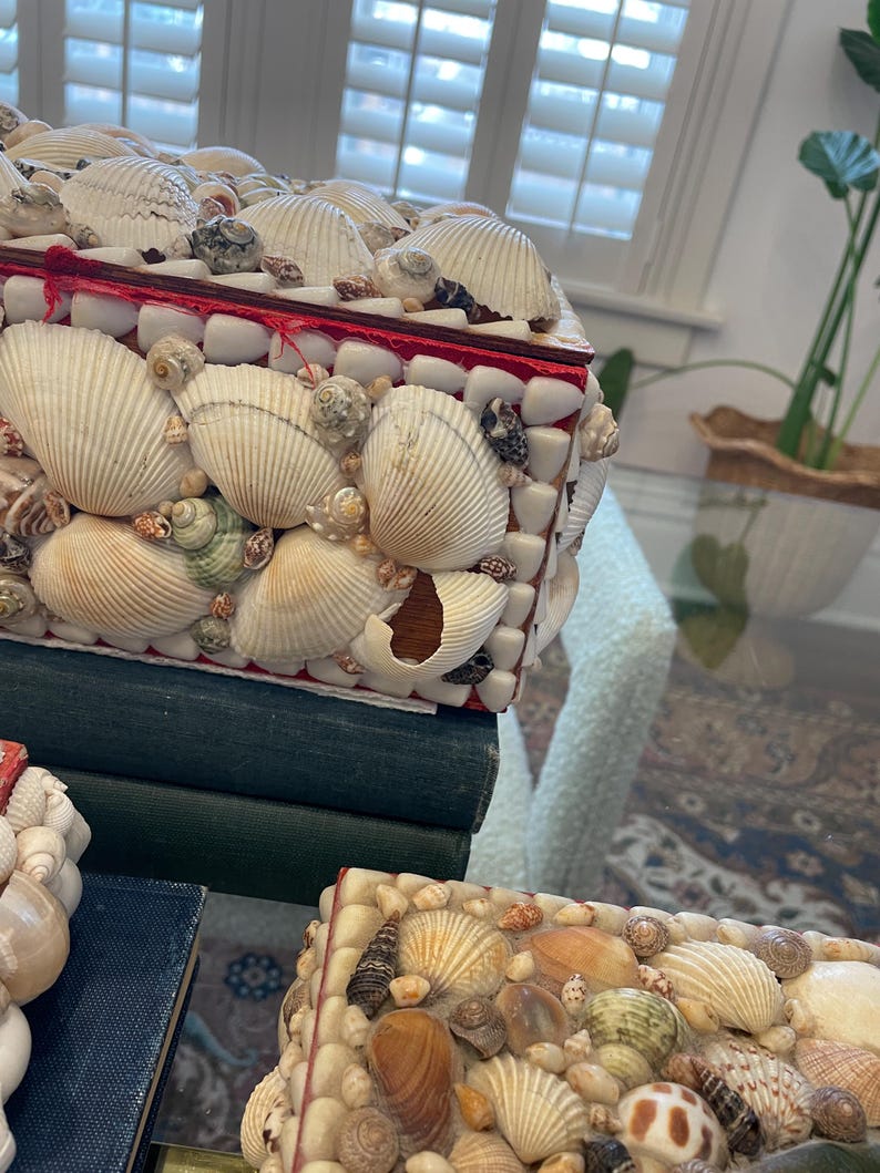 Vintage Sea Shell Trinket Box Jewelery Box Coastal Design, Decor ...