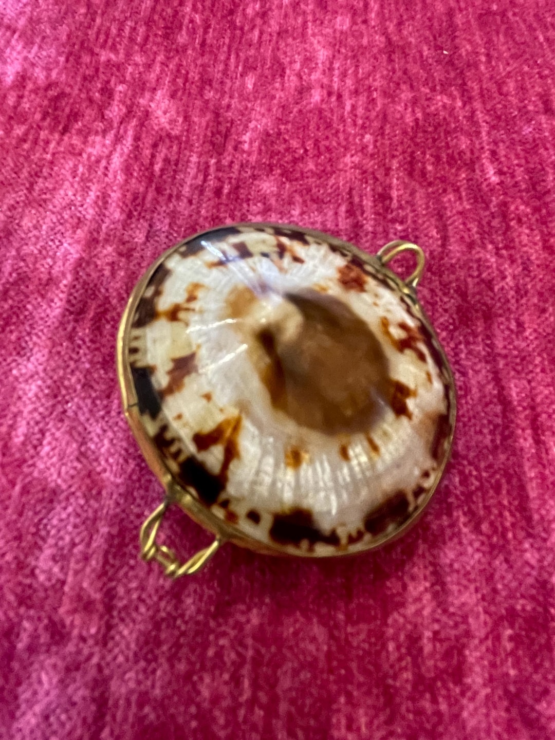 Antique Real Shell Small Trinket Case Handmade of Limpet Shells With ...