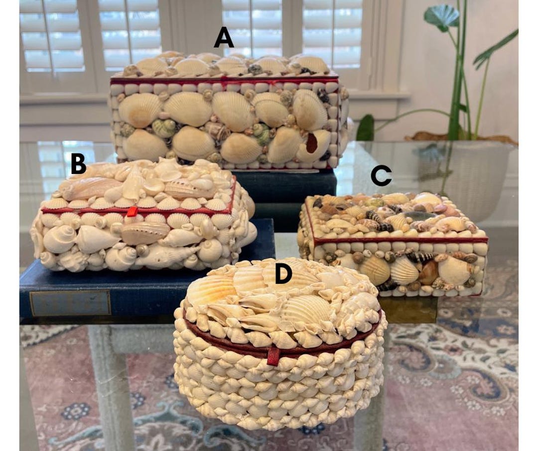 Vintage Sea Shell Trinket Box Jewelery Box Coastal Design, Decor ...