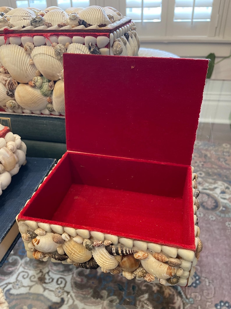 Vintage Sea Shell Trinket Box Jewelery Box Coastal Design, Decor ...